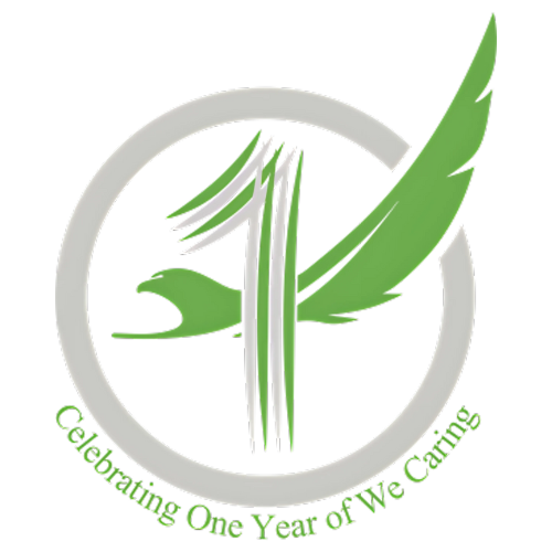 NG Eagle Airline | Reliable & Affordable Flights in and out of Nigeria ...